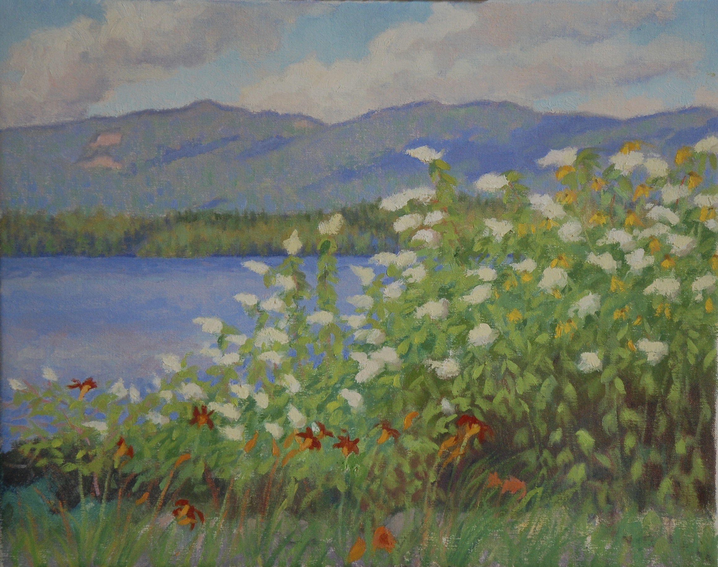 Susan Murray Stokes - Portrait Artist - Susan Murray Stokes